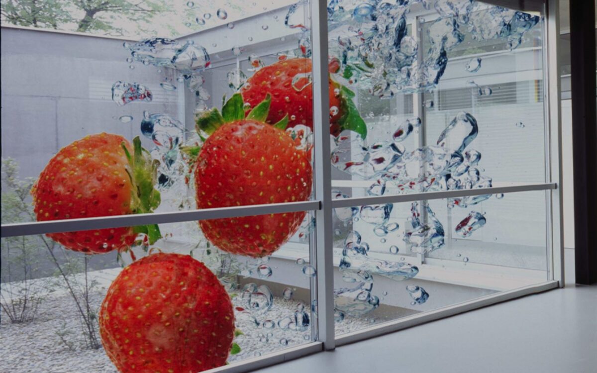 Glass Art – SFF | Window Film | Signage Material | Design